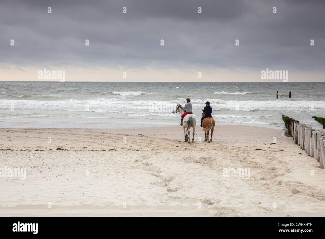 Two horse riders on sea beach Stock Photo - Alamy