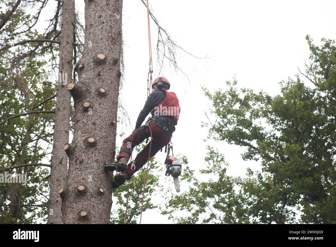 Work at tree height hi-res stock photography and images - Alamy