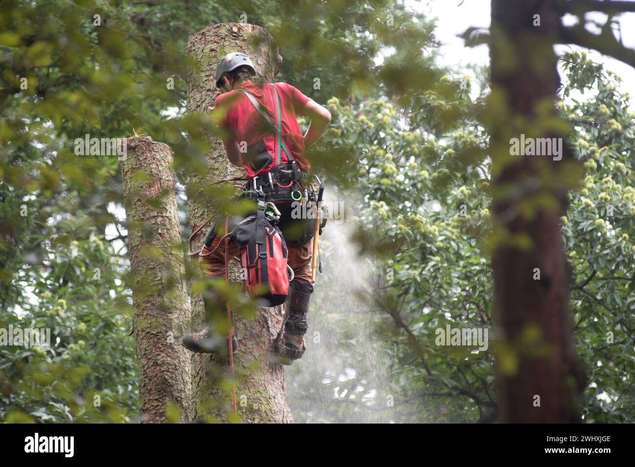 Work at tree height hi-res stock photography and images - Alamy