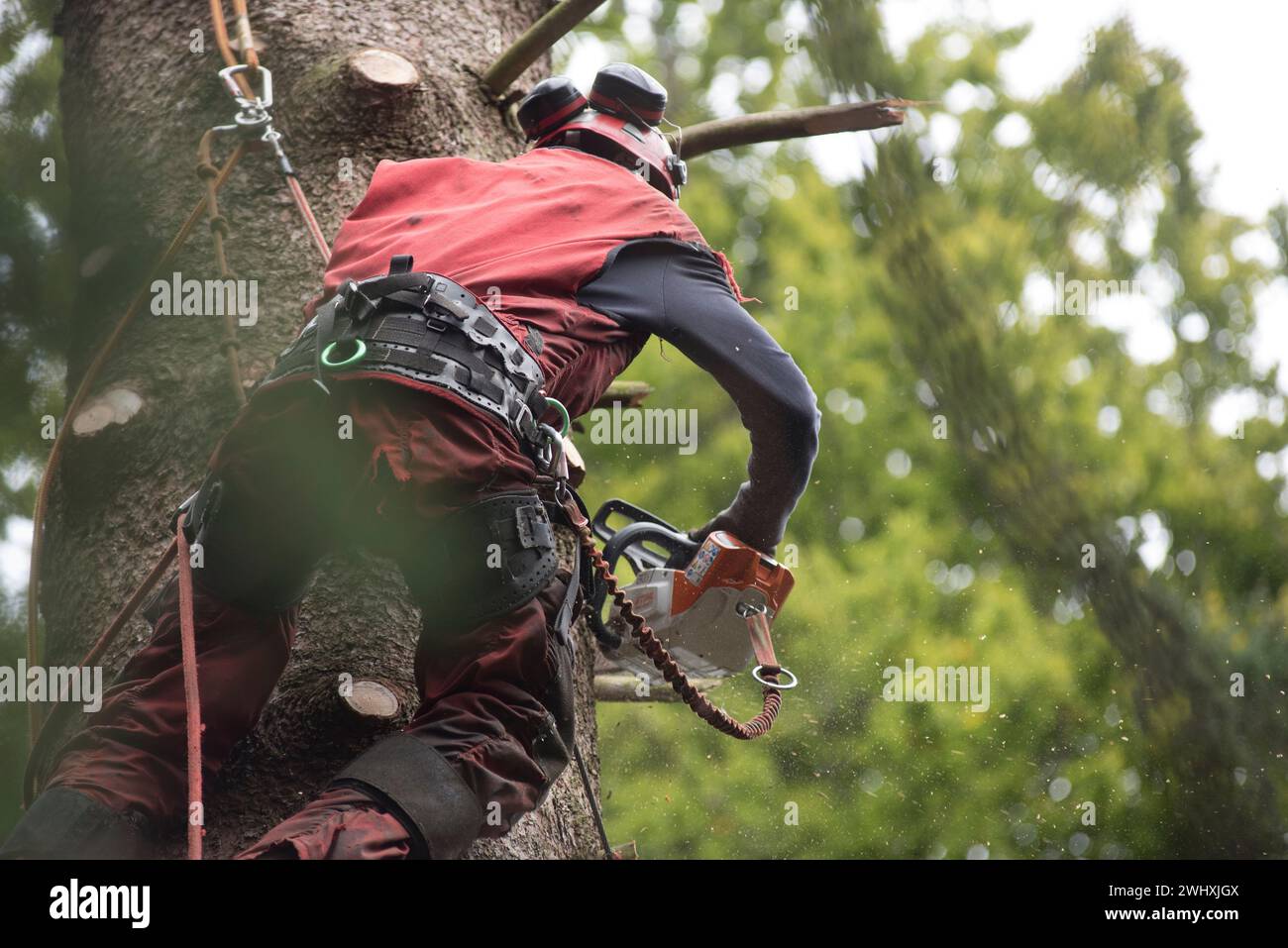 Work at tree height hi-res stock photography and images - Alamy