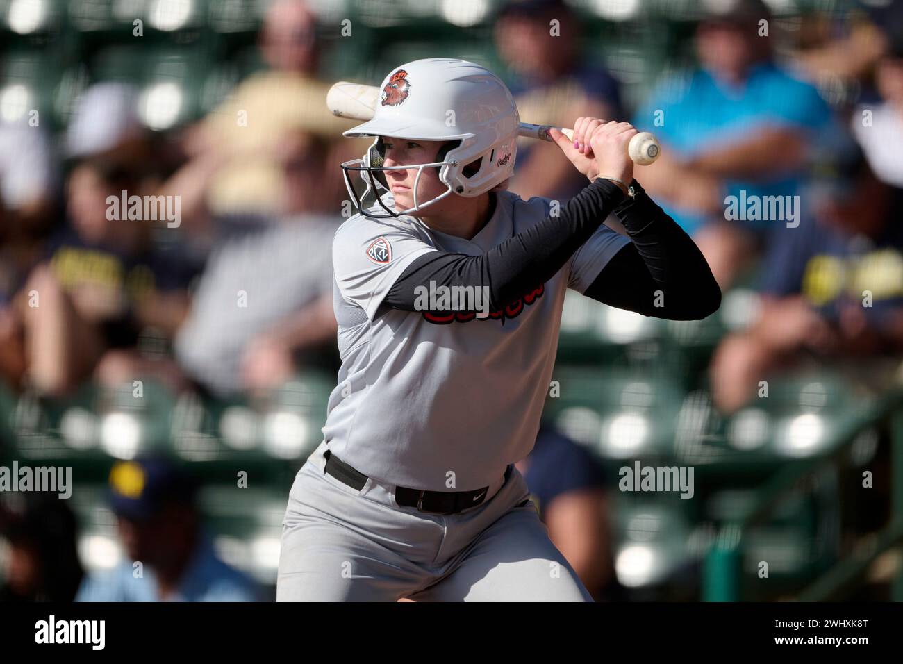 Oregon State Beavers Eliana Gottlieb (12) bats during an NCAA softball ...