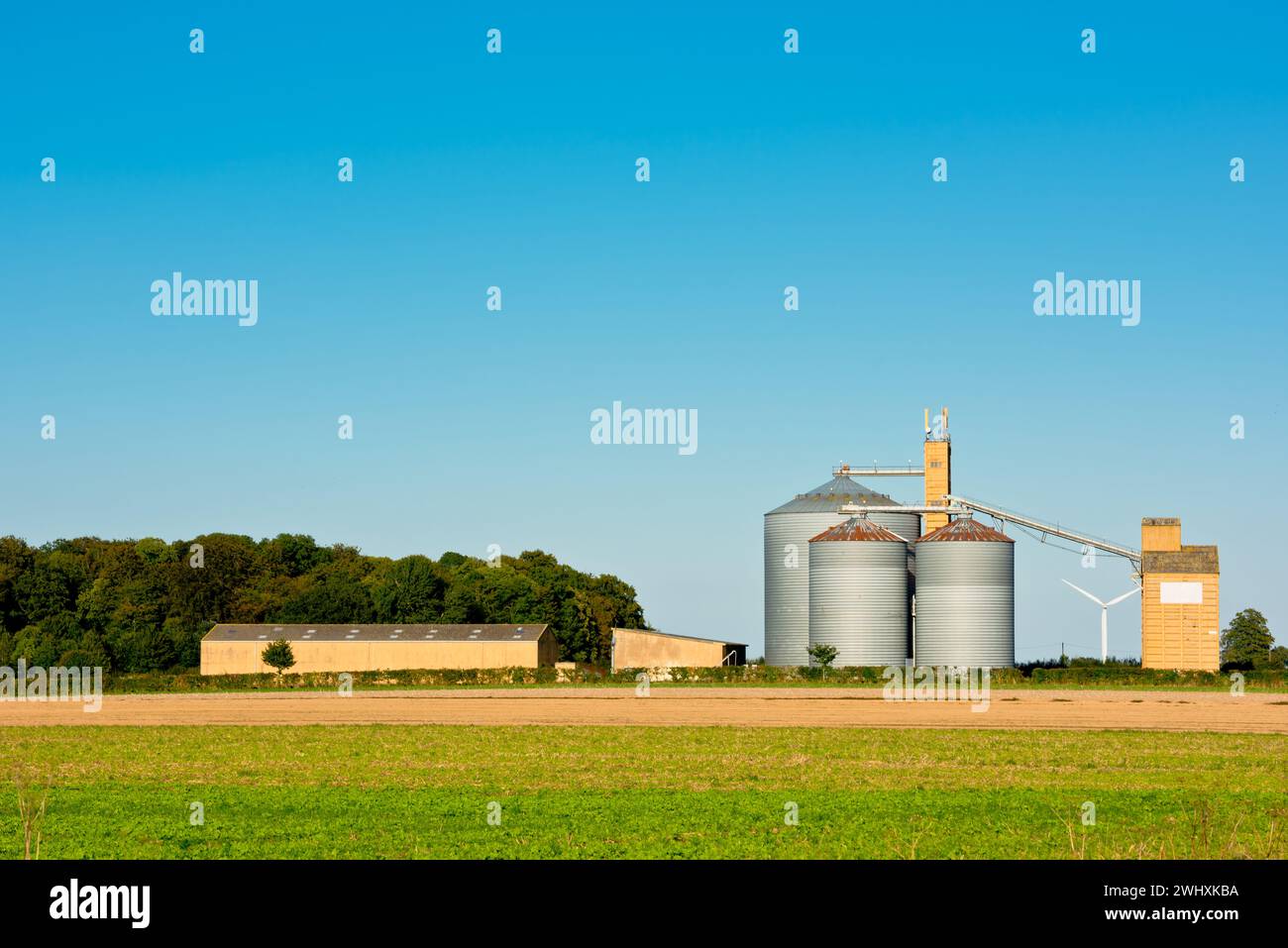 Farm grain silos for agriculture Stock Photo - Alamy