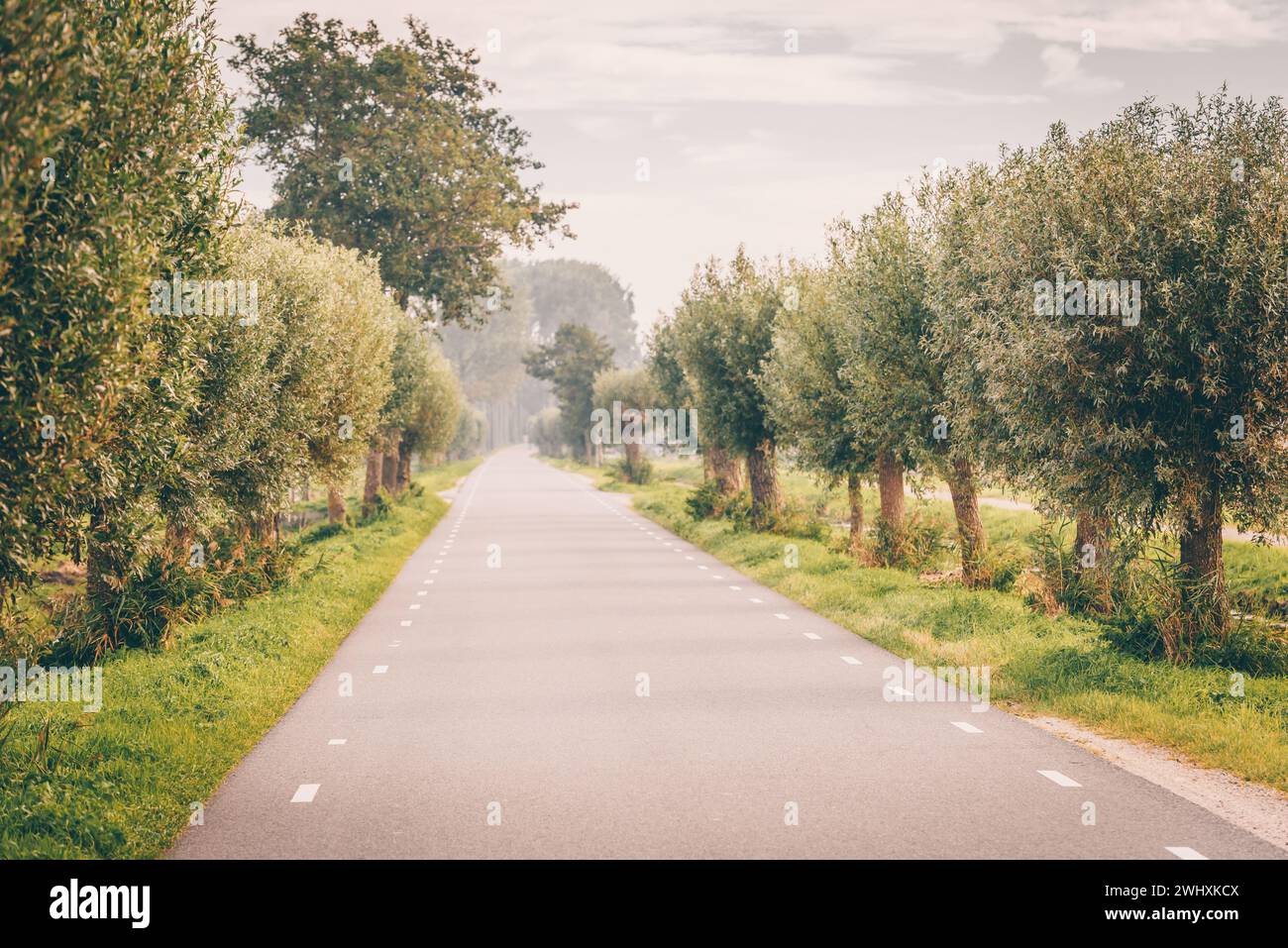 Surrounded by green trees hi-res stock photography and images - Alamy