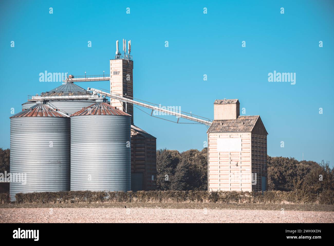 Farm grain silos for agriculture Stock Photo - Alamy
