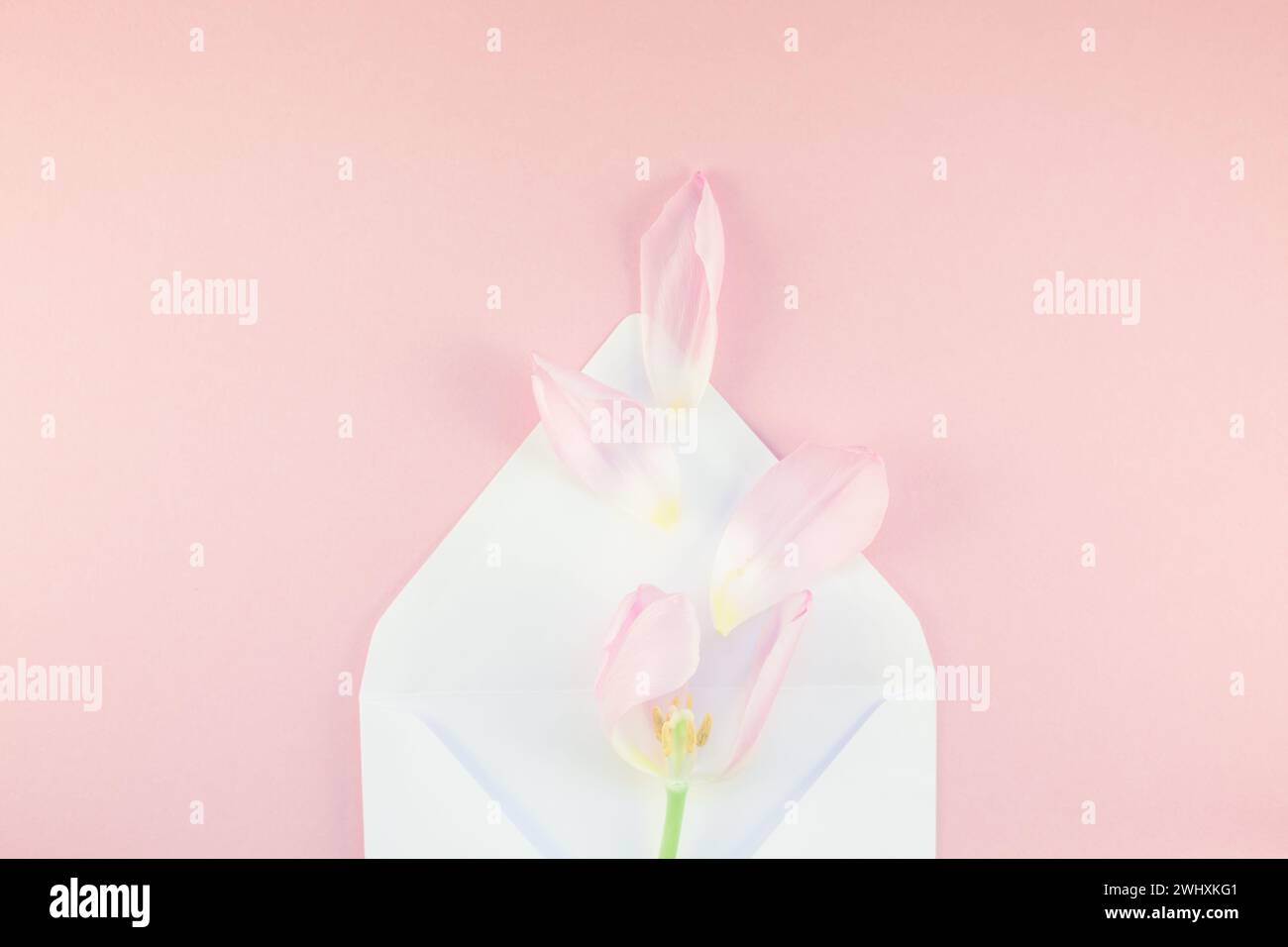 Petals in envelope hi-res stock photography and images - Alamy
