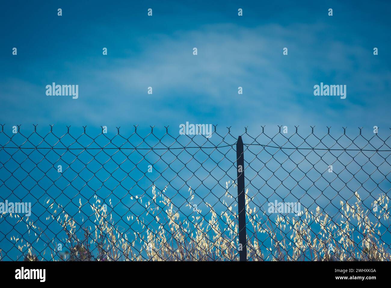 Razor wire barricade hi-res stock photography and images - Alamy