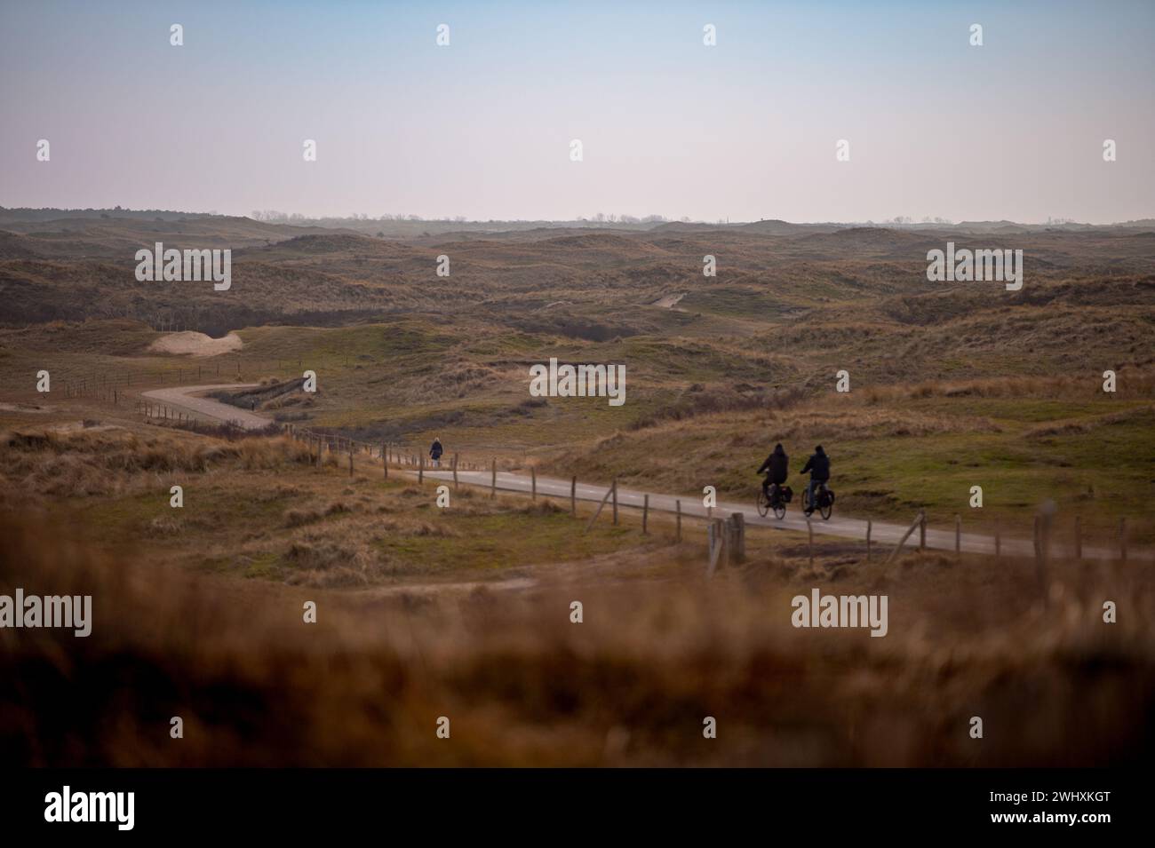 Zandvoort Netherlands Zuid-Kennemerland National Park Stock Photo - Alamy