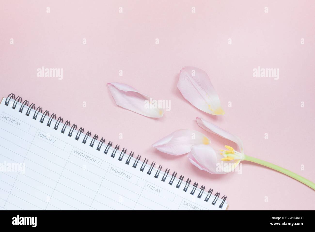 Empty planner hi-res stock photography and images - Alamy