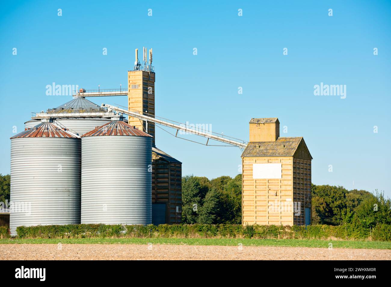 Farm grain silos for agriculture Stock Photo - Alamy