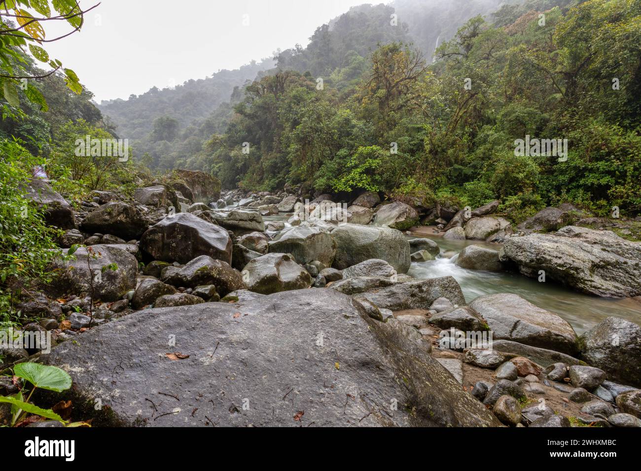 The Orosi River, Tapanti - Cerro de la Muerte Massif National Park ...