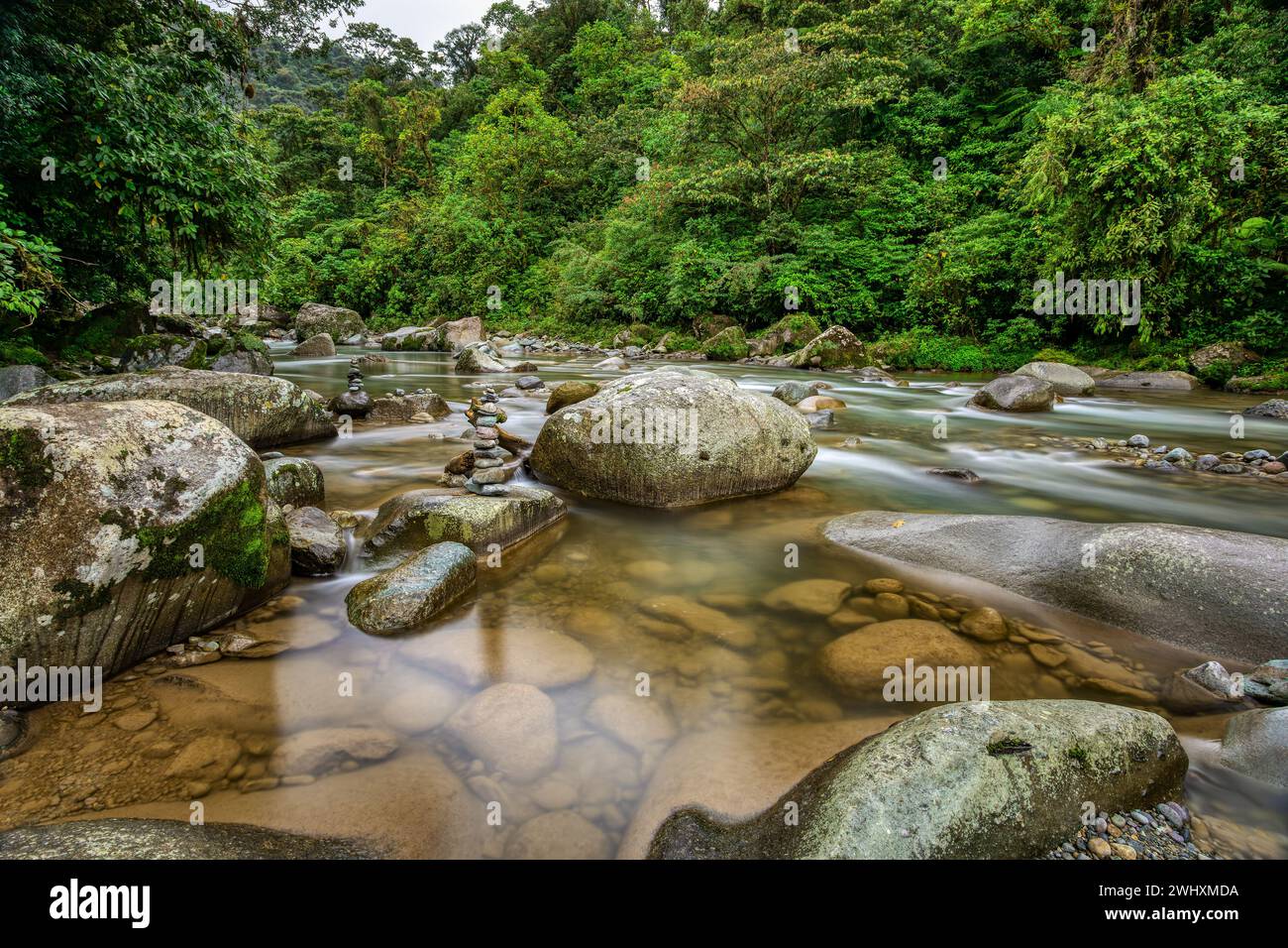 The Orosi River, Tapanti - Cerro de la Muerte Massif National Park ...