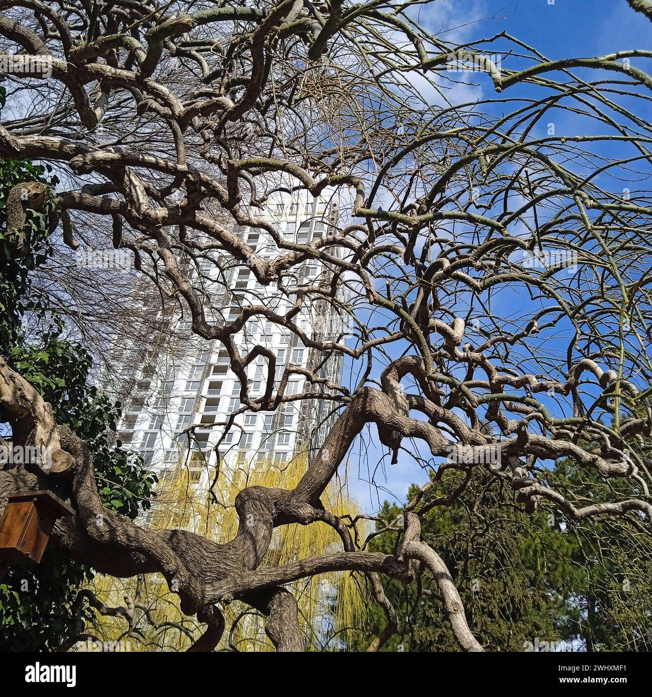 Urban tree planting hi-res stock photography and images - Alamy