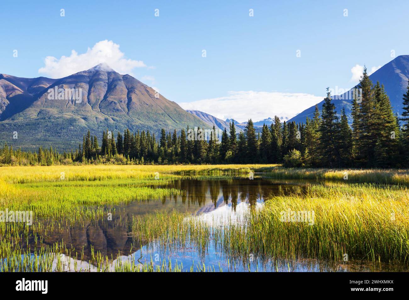 Hike in the fantastic landscape of Alaska, USA Stock Photo - Alamy