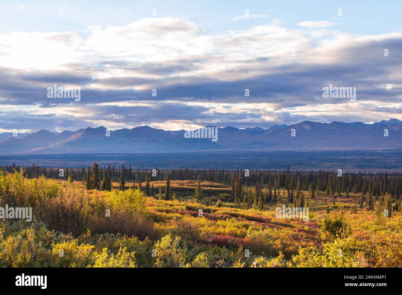 Hike in the fantastic landscape of Alaska, USA Stock Photo - Alamy