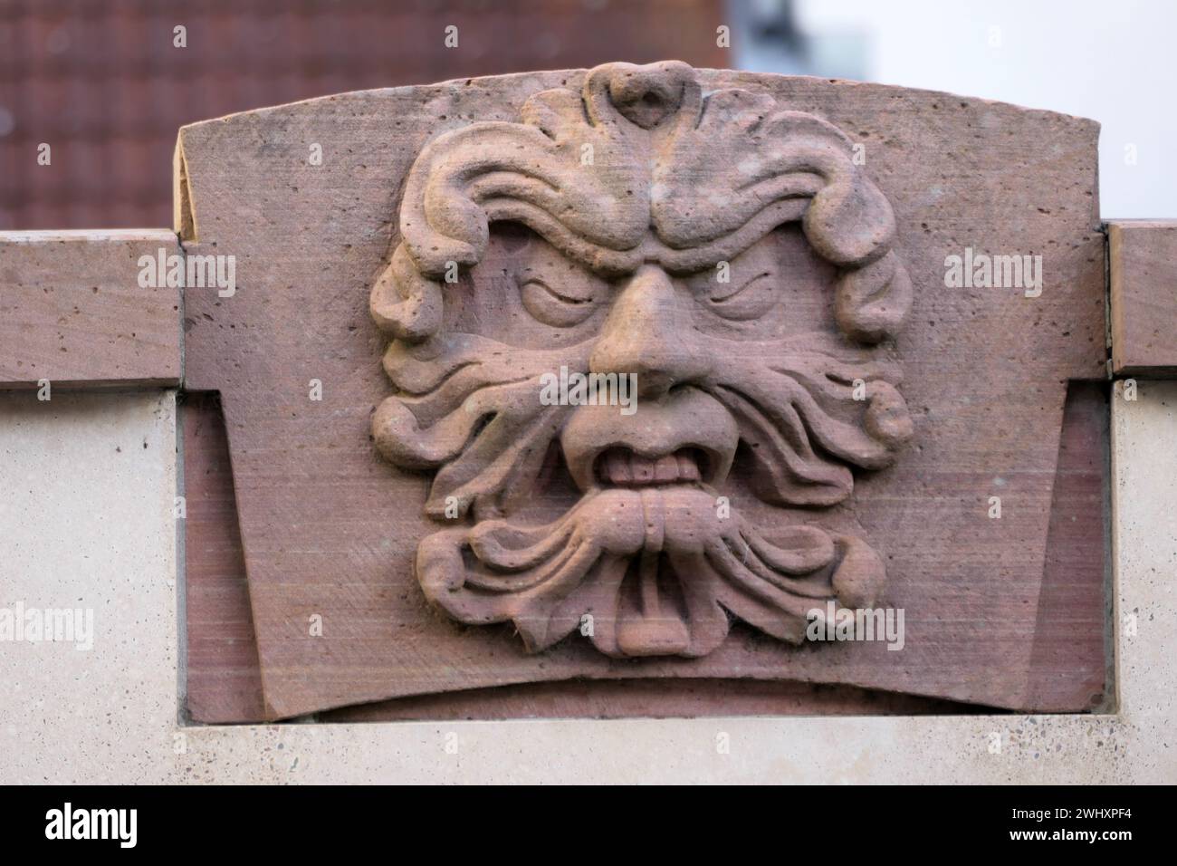 Envy head hi-res stock photography and images - Alamy
