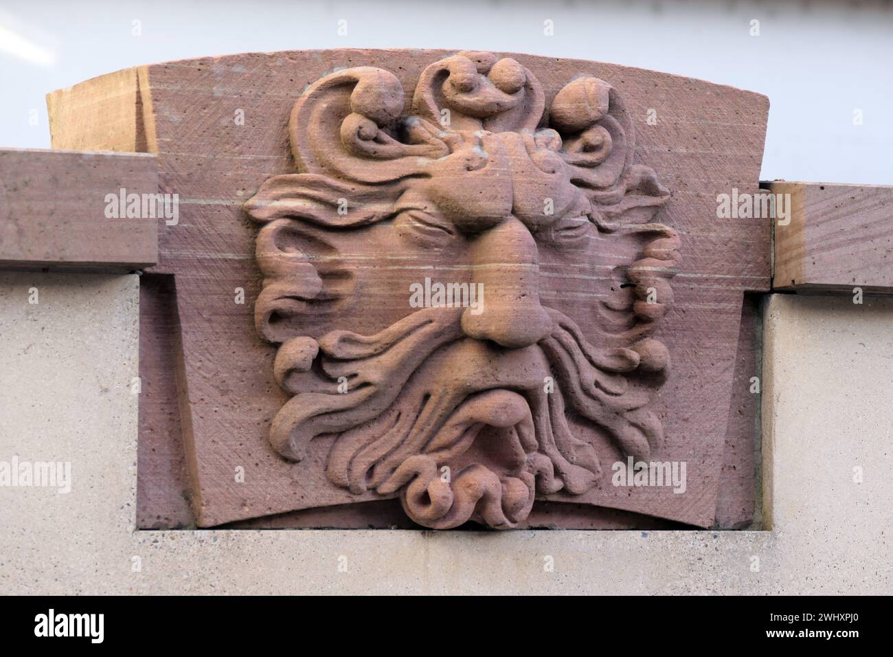 Envy head hi-res stock photography and images - Alamy