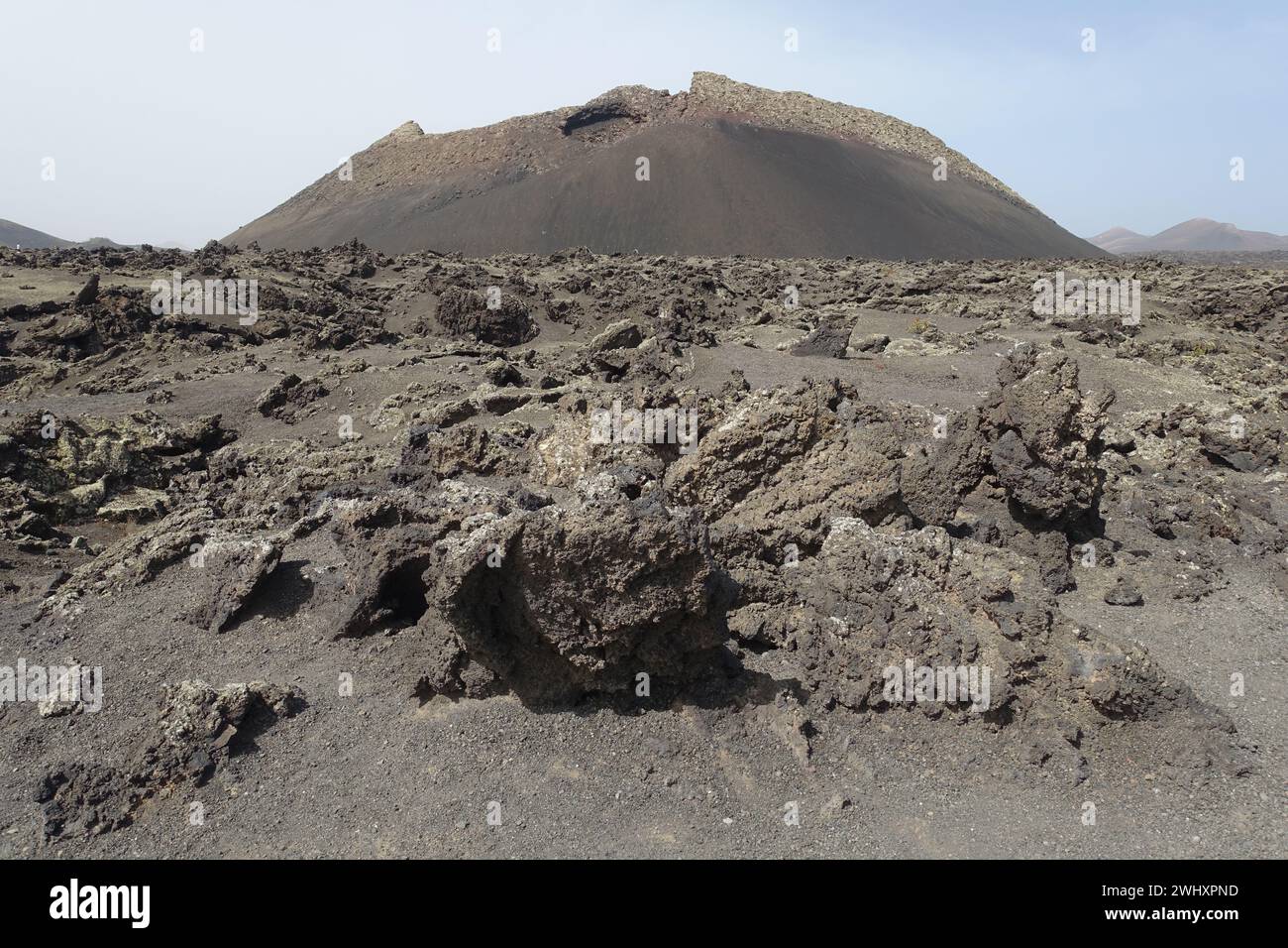 Cuervo de cuervos hi-res stock photography and images - Alamy