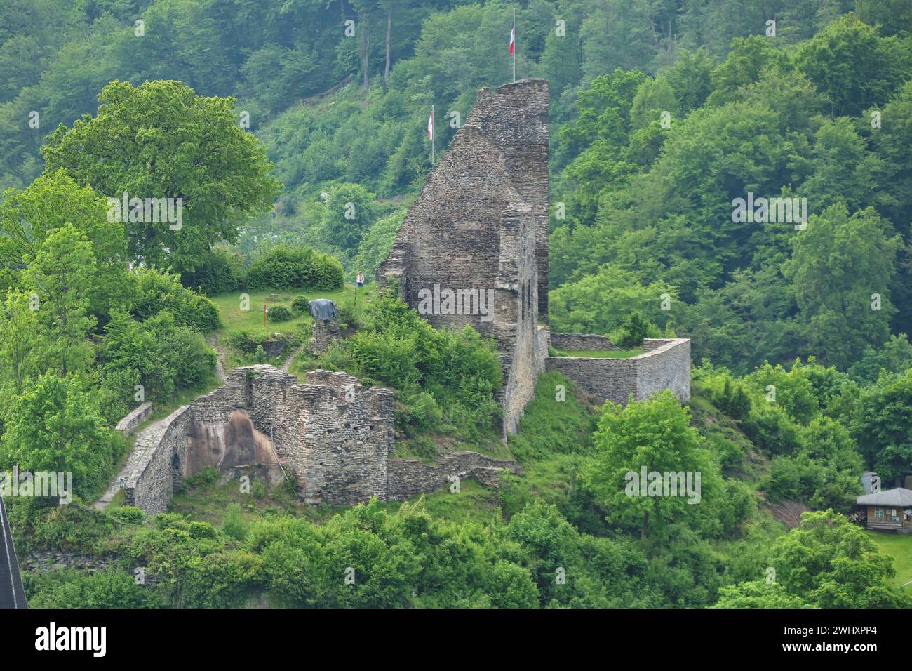 Isenburg castle ruins in the Westerwald Stock Photo - Alamy