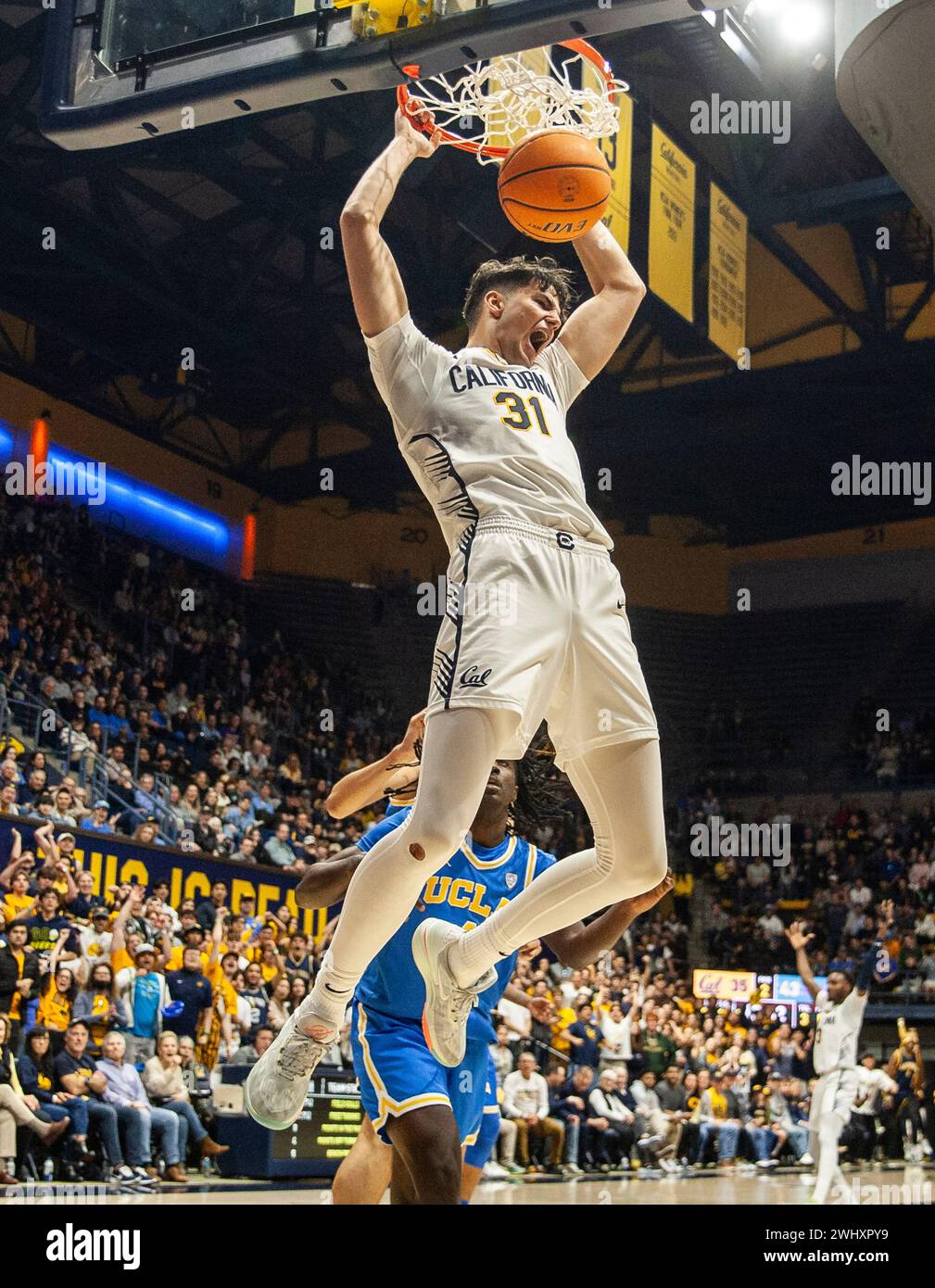 Berkeley, USA. 10th Feb, 2024. February 10 2024 Berkeley, CA U.S.A ...