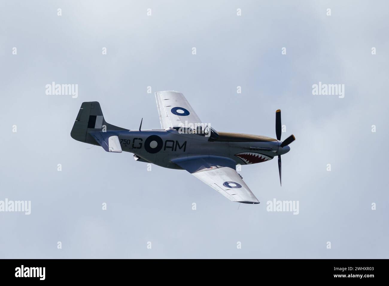 RAAF P51 Mustang in Geelong Australia Stock Photo - Alamy