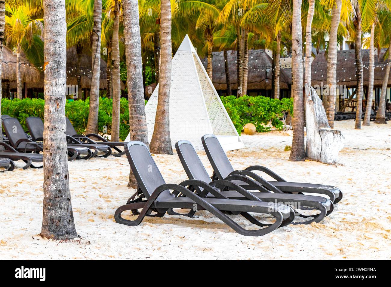 Palapa thatched roofs palm trees parasols umbrellas and sun loungers at ...