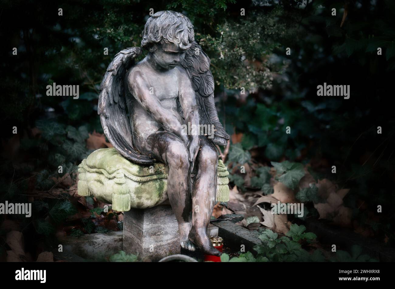 Guardian angel wings hi-res stock photography and images - Alamy