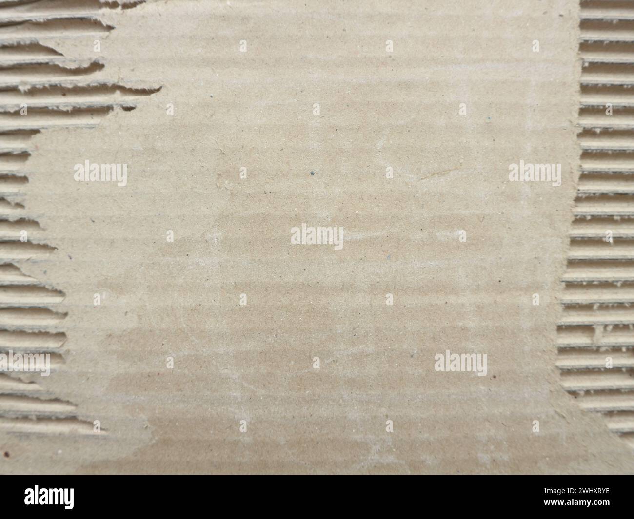 The texture of used cardboard has a peeling surface. Abstract ...