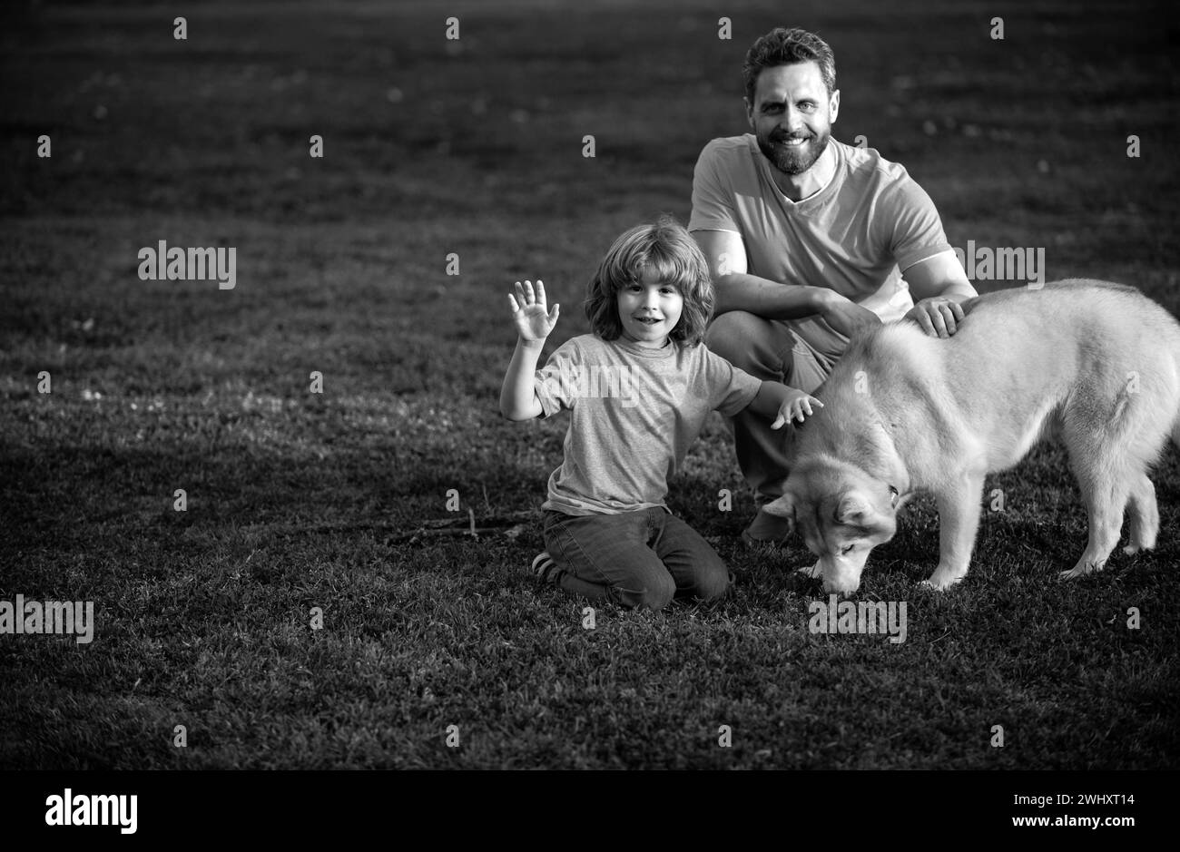 Son and father as family with dog playing together in summer park on ...