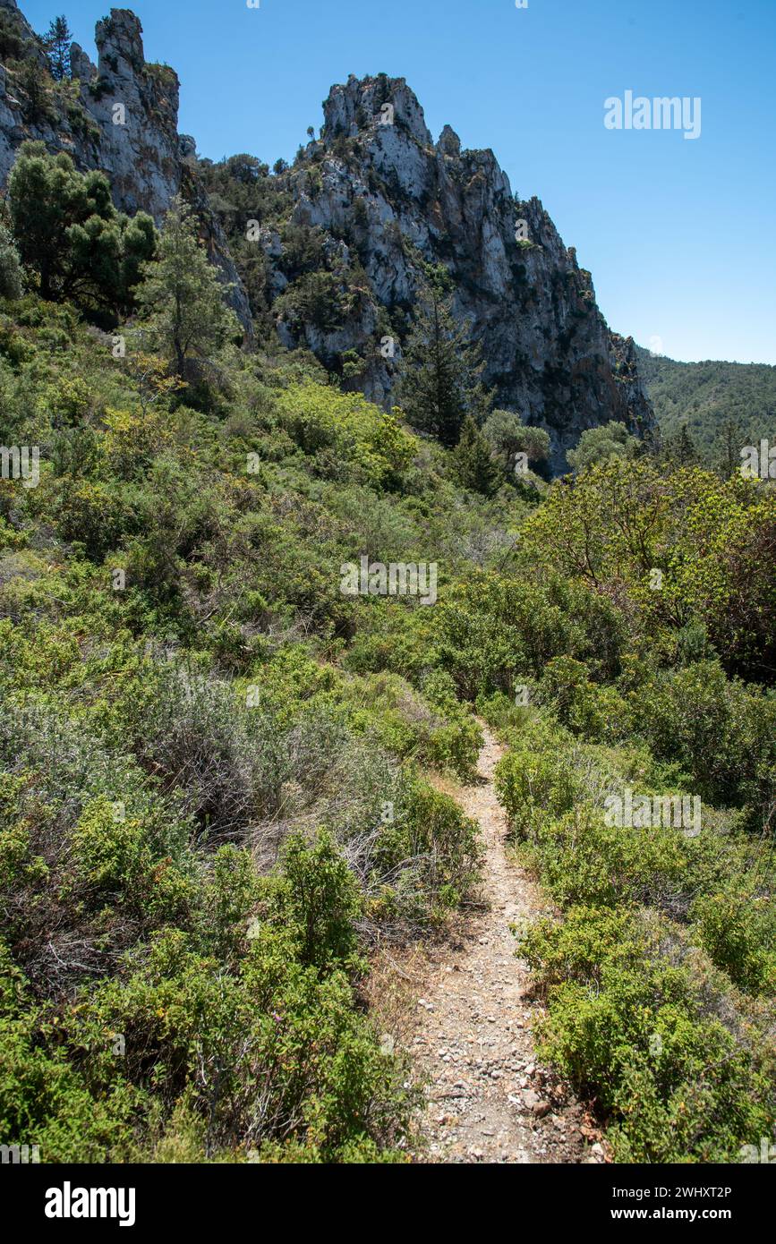 Nature hiking path in hi-res stock photography and images - Alamy