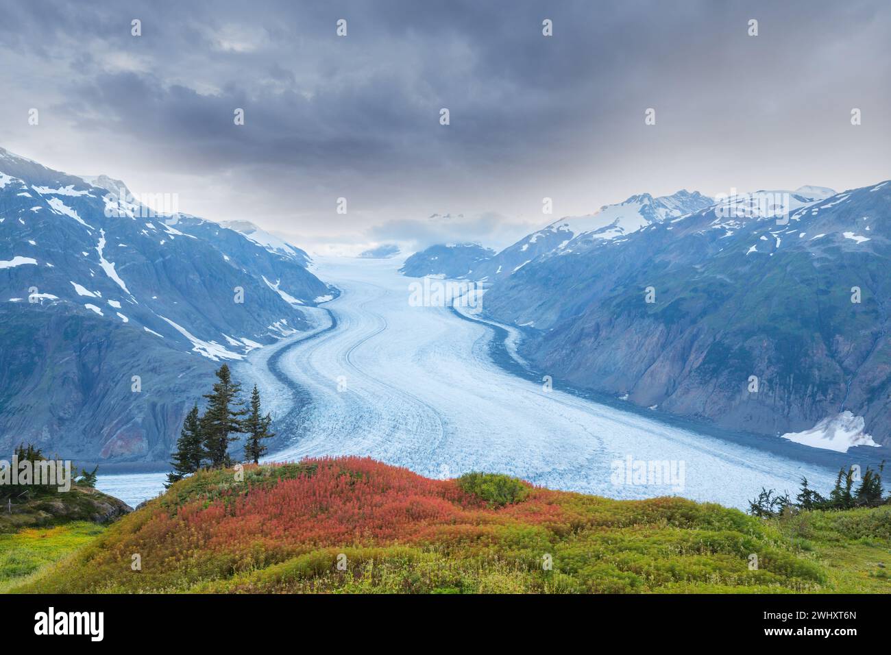 The world-famous Salmon Glacier in Alaska, USA Stock Photo - Alamy