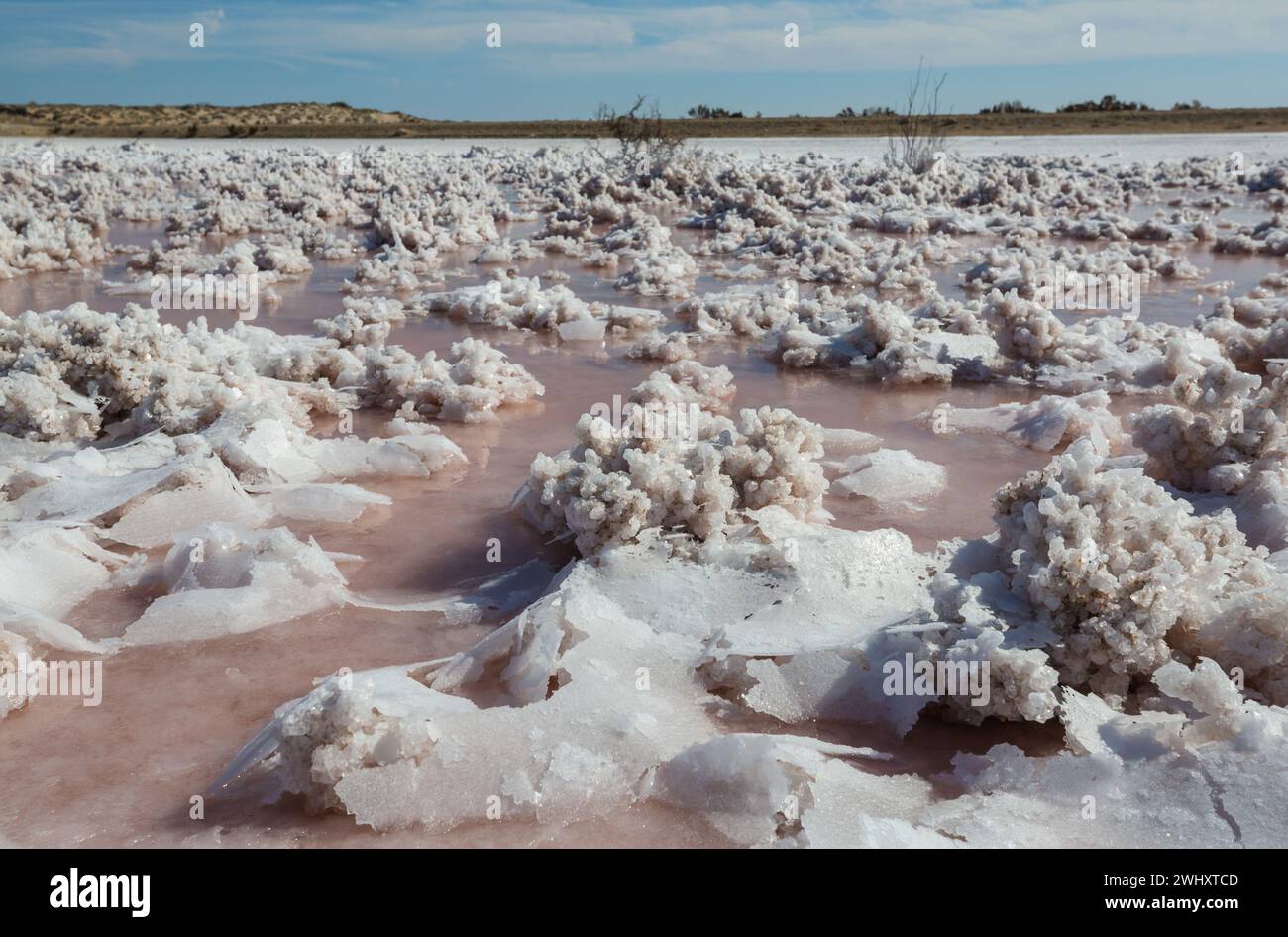 Fascinating landscape in the Mexican state of Baja California Stock ...
