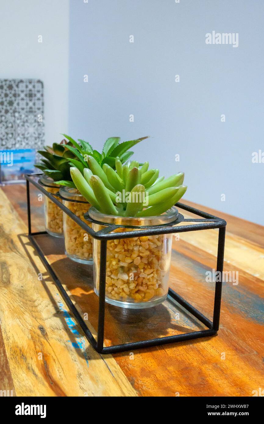 Decor plants hi-res stock photography and images - Alamy