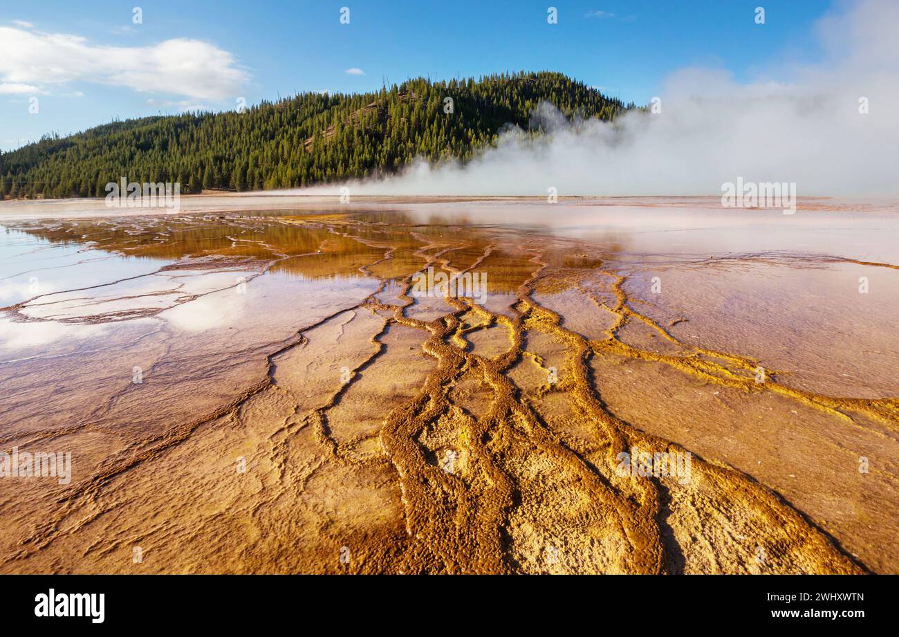 Hot and acidic thermal pools in Yellowstone National Park, USA Stock ...