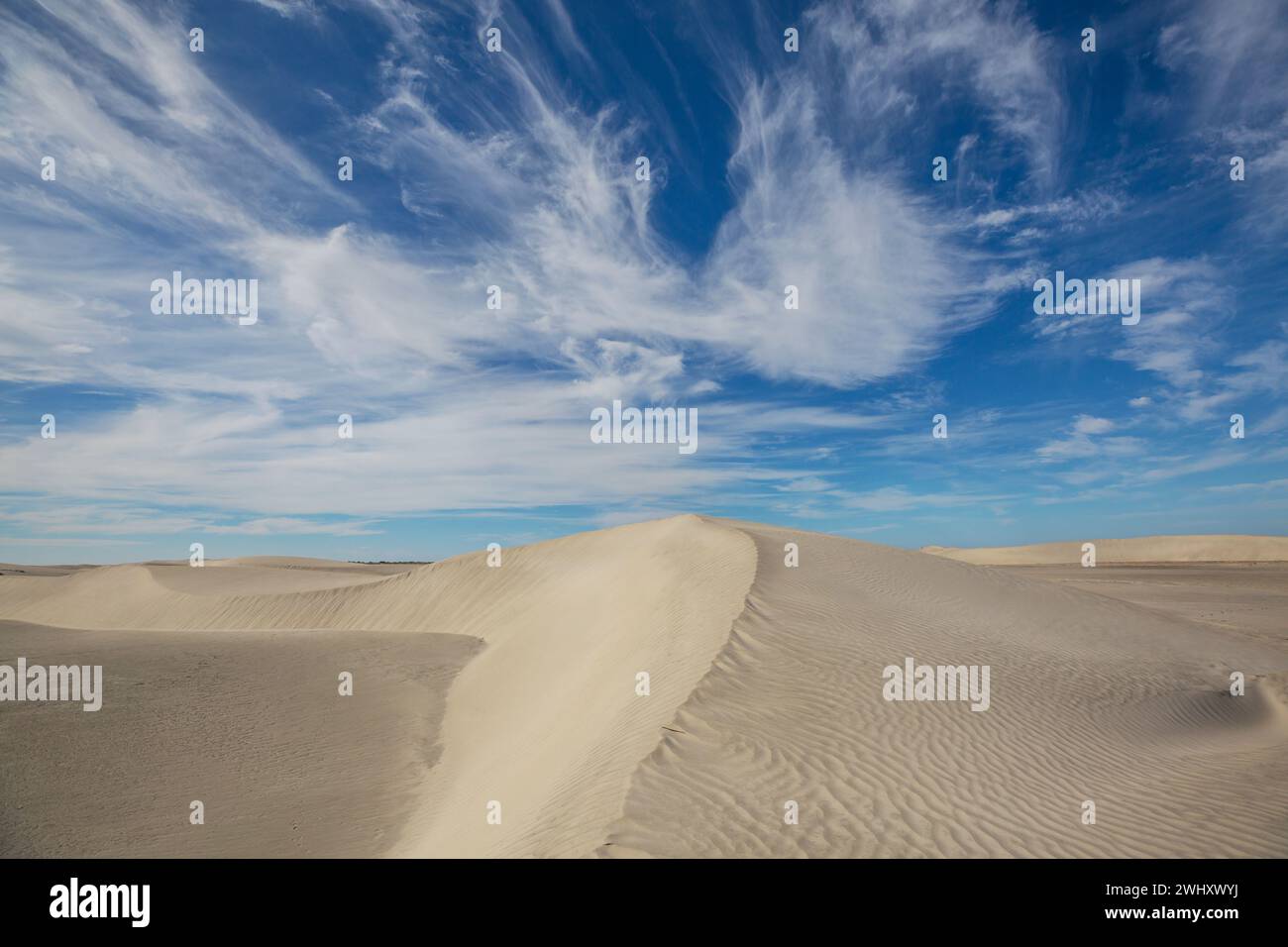 Fascinating landscape in the Mexican state of Baja California Stock ...