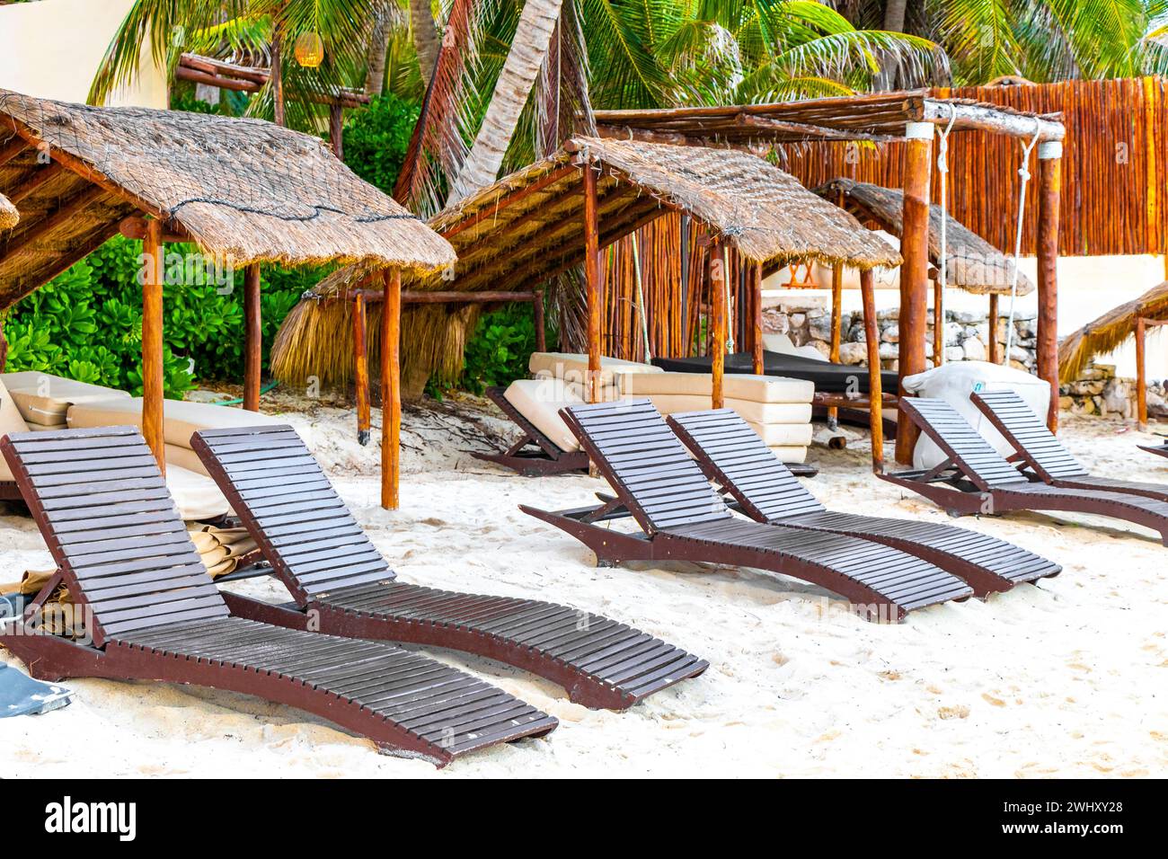 Palapa thatched roofs palm trees parasols umbrellas and sun loungers at ...