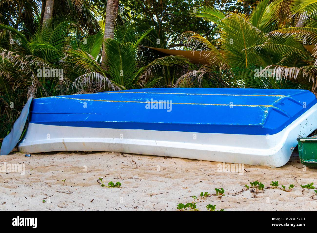Playa del Carmen Quintana Roo Mexico 14. August 2023 Boat yacht ...