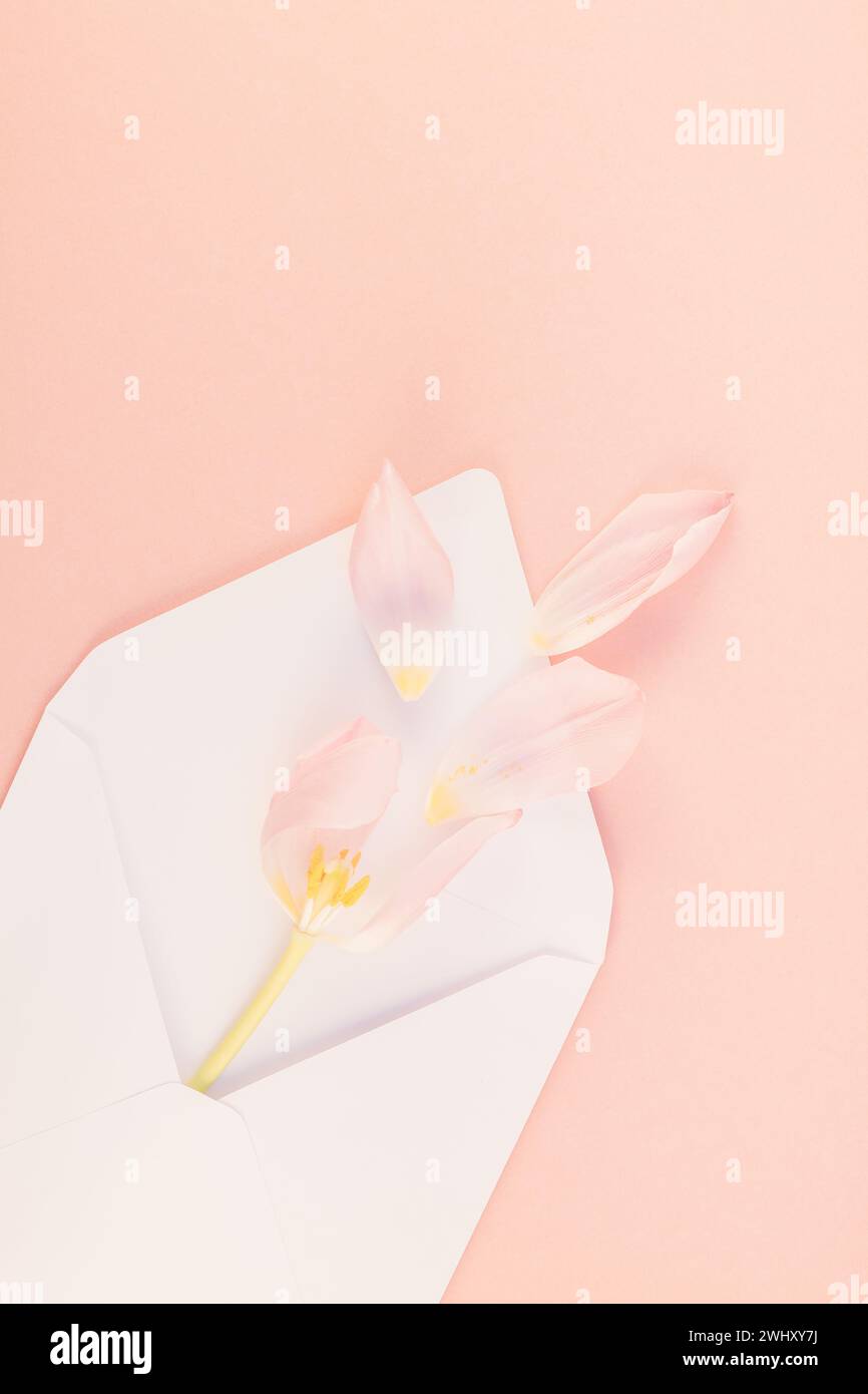 Paper tulip hi-res stock photography and images - Alamy