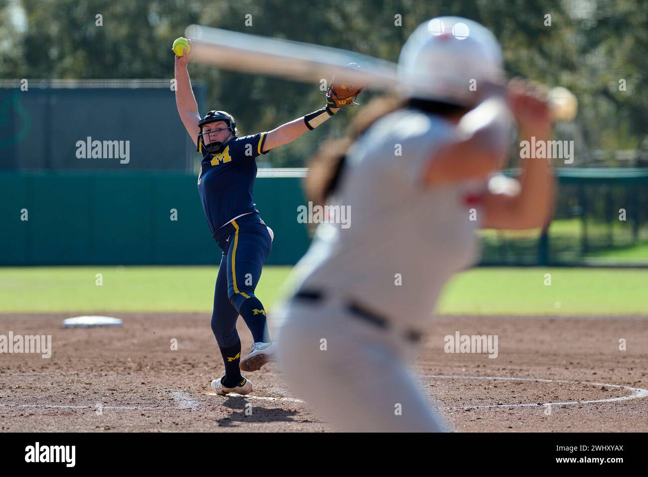 Michigan Wolverines pitcher Jessica LeBeau (12) during an NCAA softball ...
