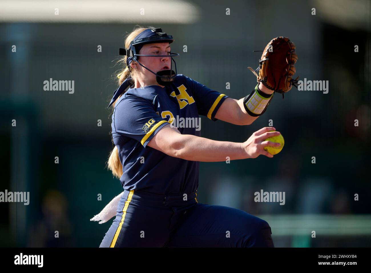 Michigan Wolverines pitcher Jessica LeBeau (12) during an NCAA softball ...