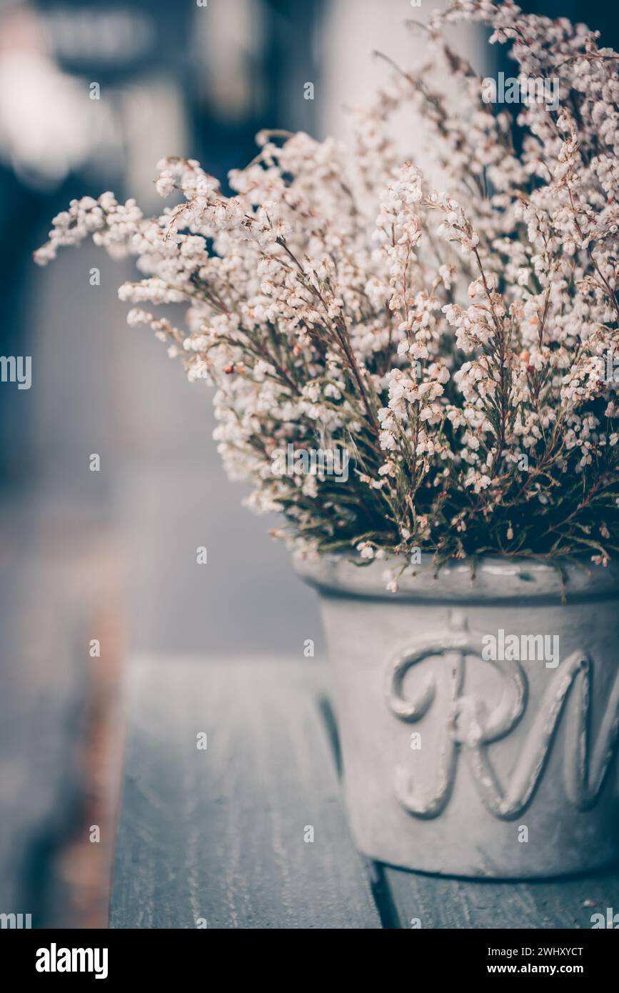 Summer potted flowers hi-res stock photography and images - Alamy