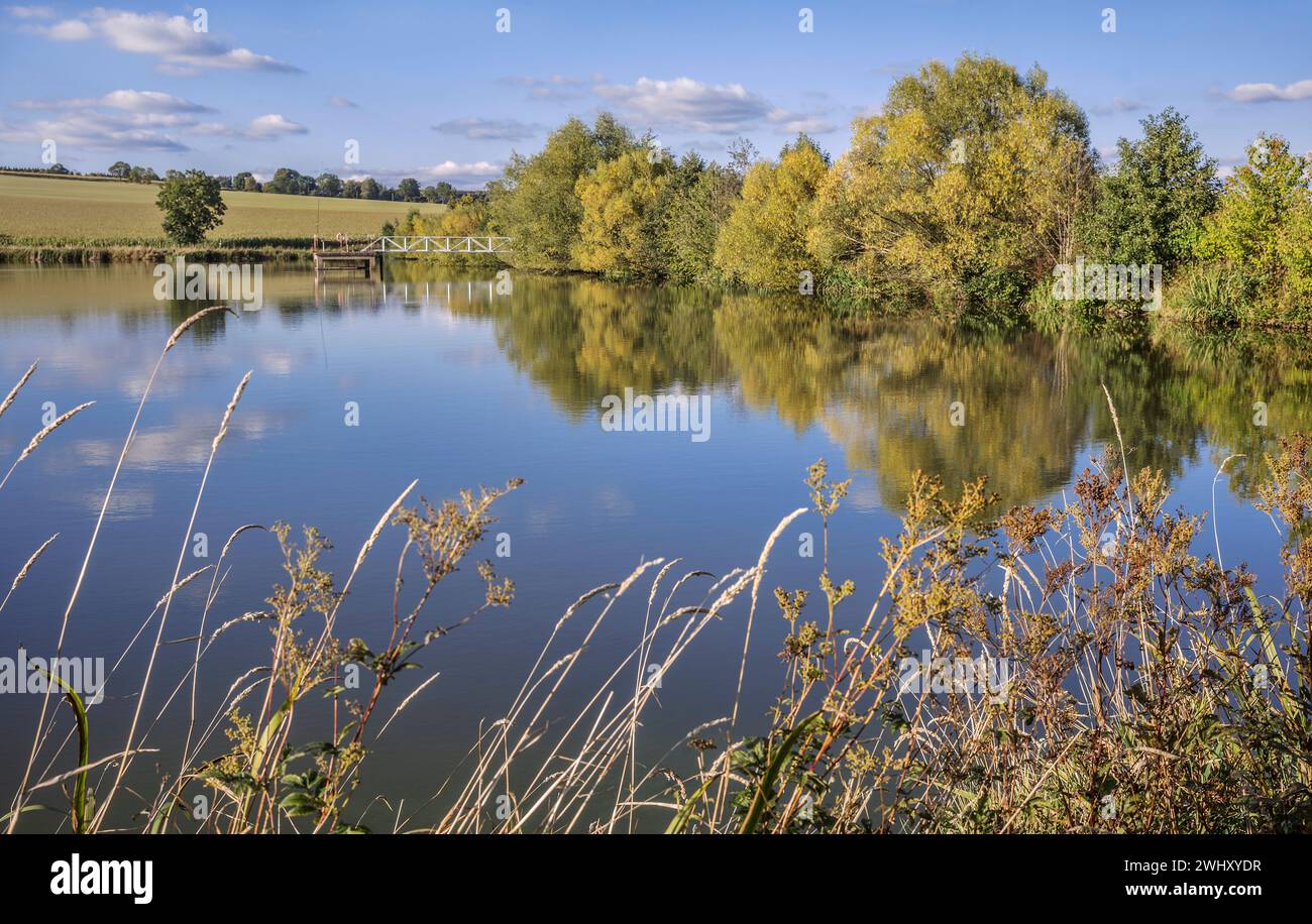 Trees colors autumn banks hi-res stock photography and images - Alamy