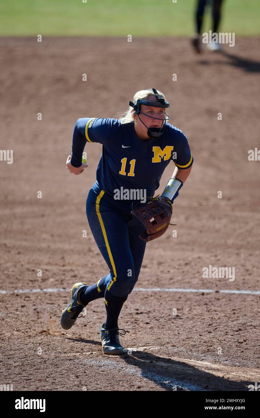 Michigan Wolverines pitcher Erin Hoehn (11) during an NCAA softball ...