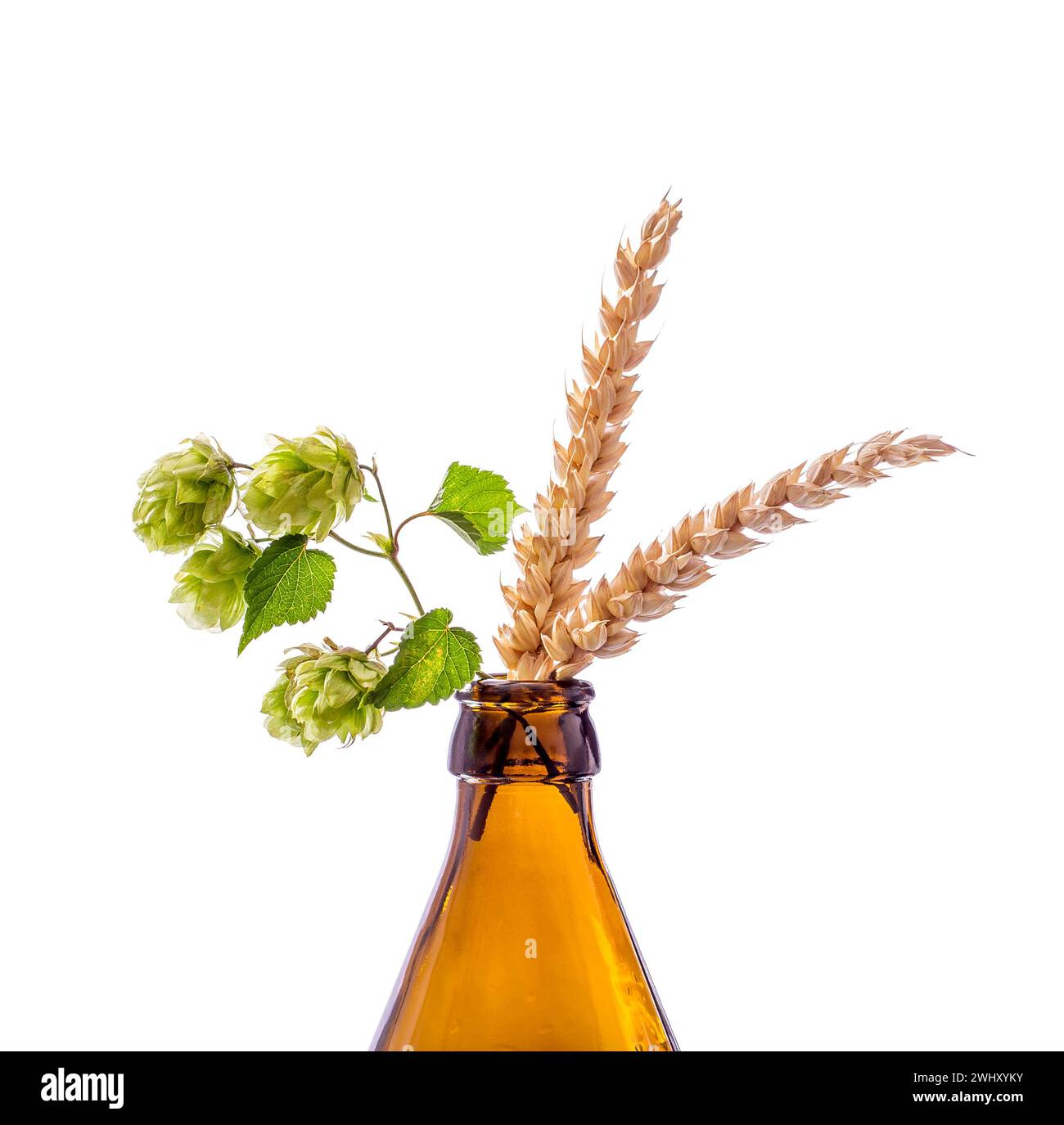 Wheat beer bottle hi-res stock photography and images - Alamy