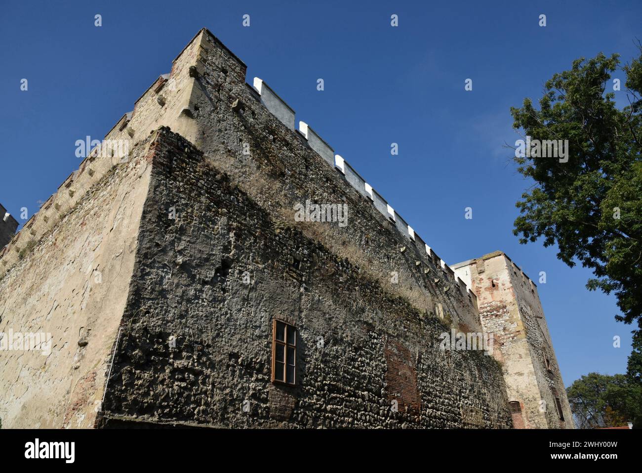 Der thaya hi-res stock photography and images - Alamy