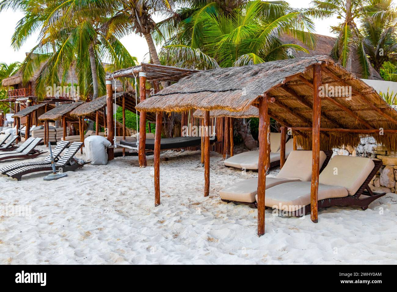 Palapa thatched roofs palm trees parasols umbrellas and sun loungers at ...