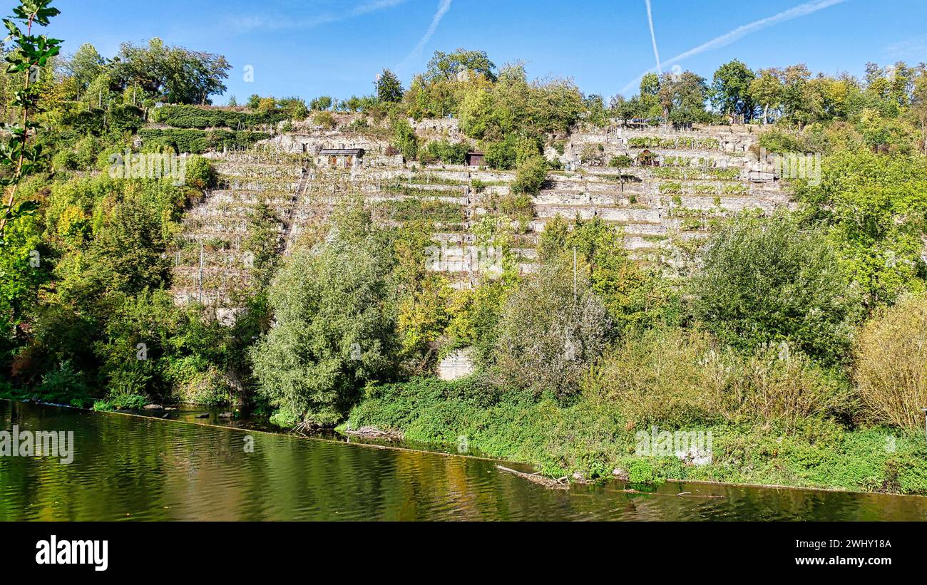 Enztal radweg hi-res stock photography and images - Alamy