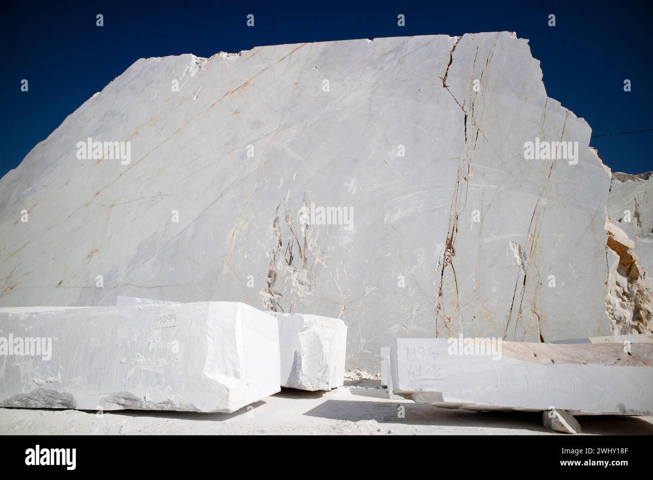 Natural documentation hi-res stock photography and images - Alamy