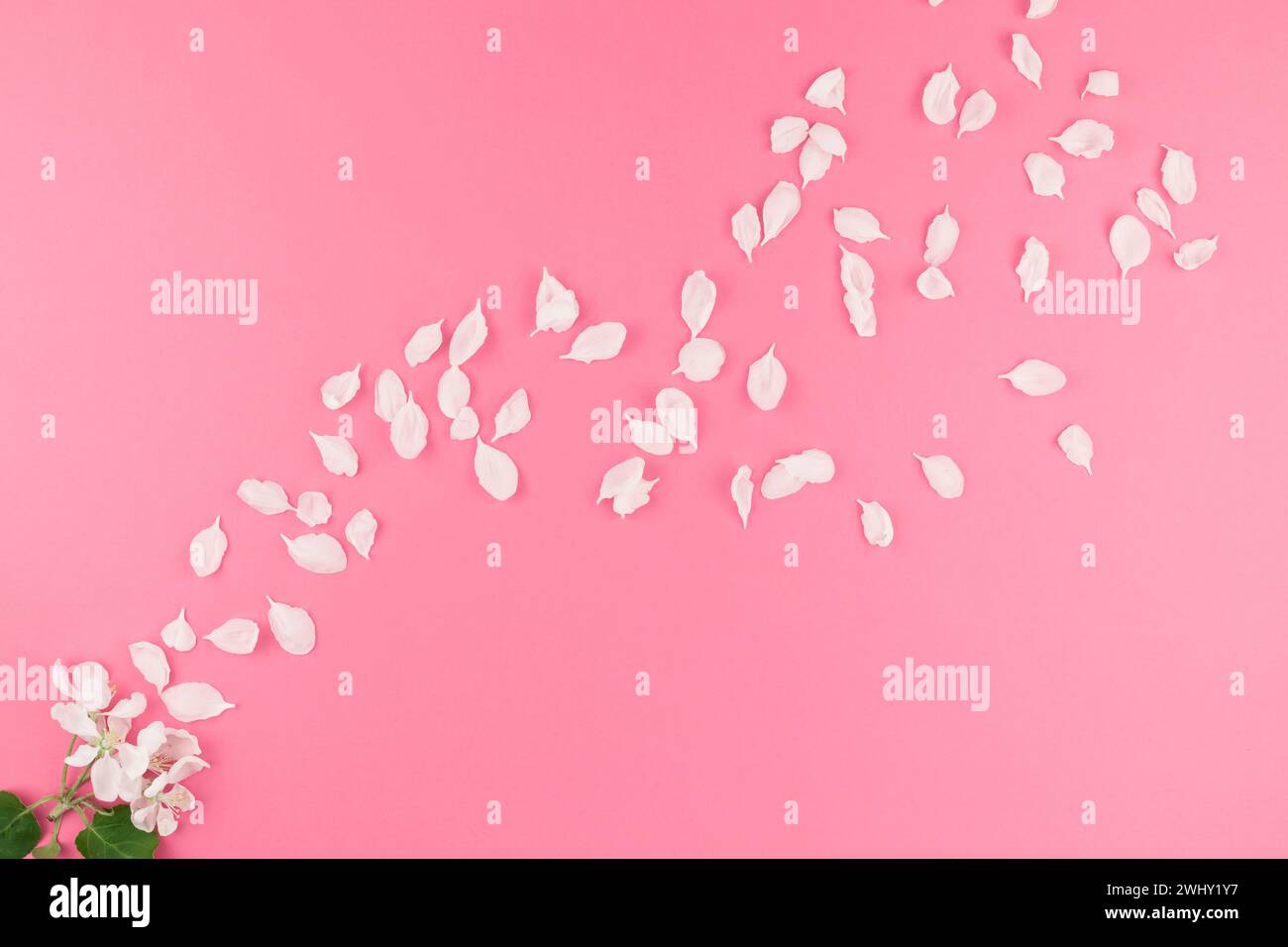 Flying petals hi-res stock photography and images - Alamy