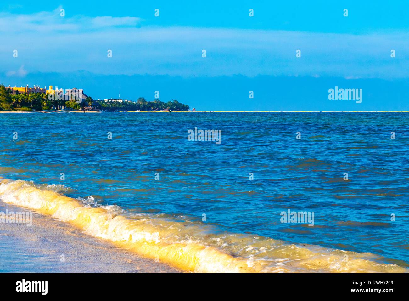 Tropical mexican caribbean beach landscape panorama with clear ...