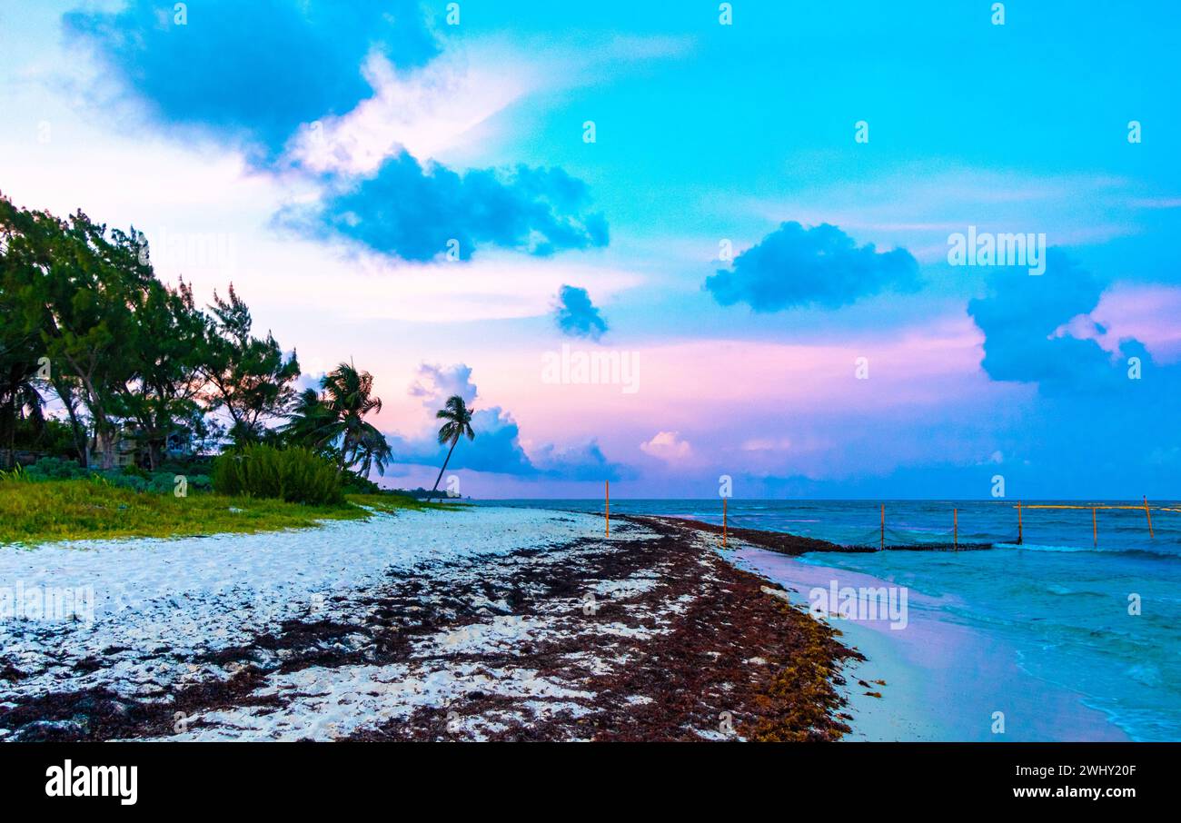 Awesome amazing and colorful sunset sunrise at the tropical mexican ...